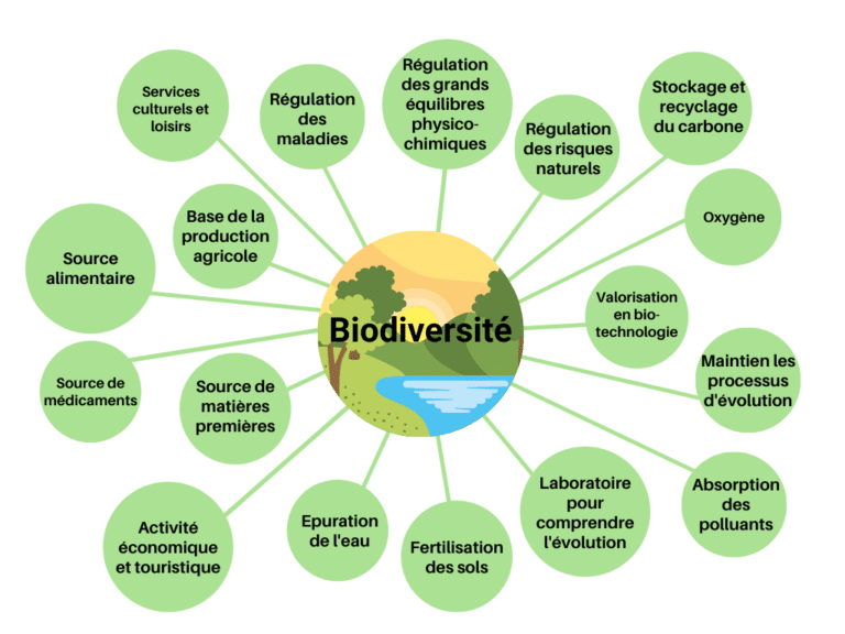 2021 sera l'année de la biodiversité ! - Connexion Nature