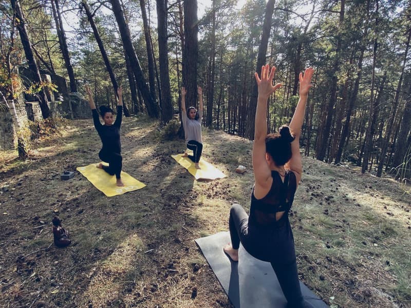 Team Building RSE - Connexion Nature