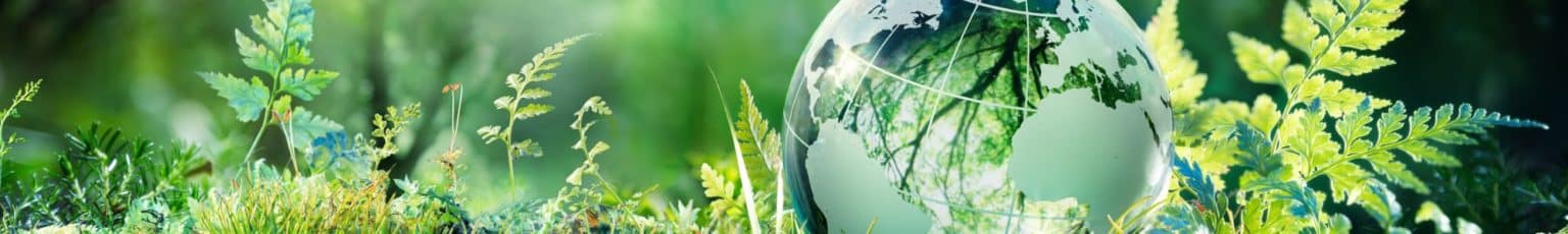 Notre démarche RSE - Connexion Nature - Créateur de team building RSE